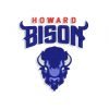 Howard Bison - Machine Embroidery designs and SVG files
